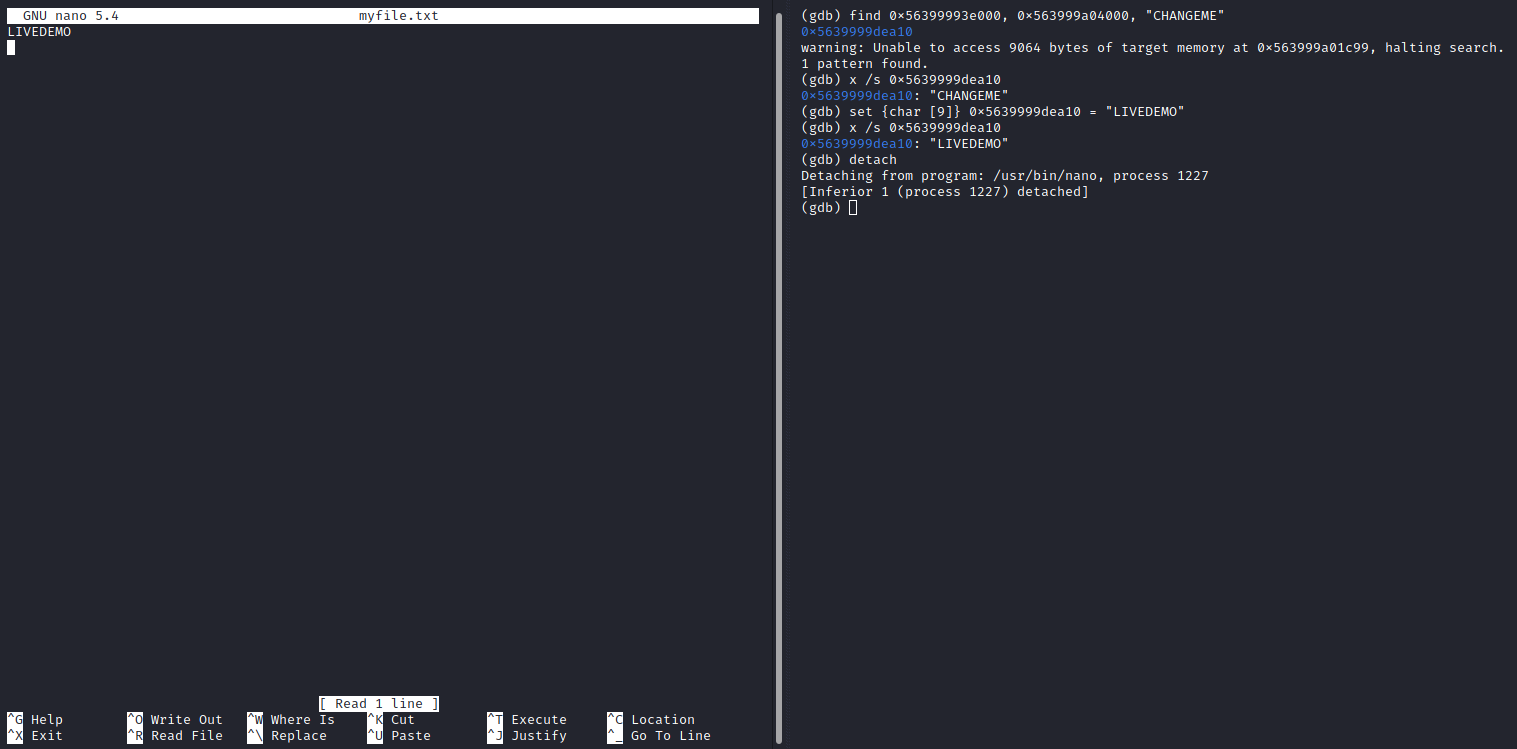 Targeted process injection - Linux - Cyber Security Notepad